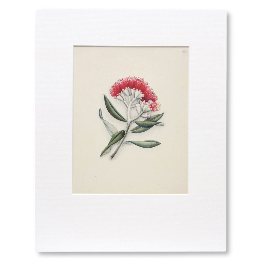 Art and Exhibitions - Gallery Prints – Auckland Art Gallery Shop