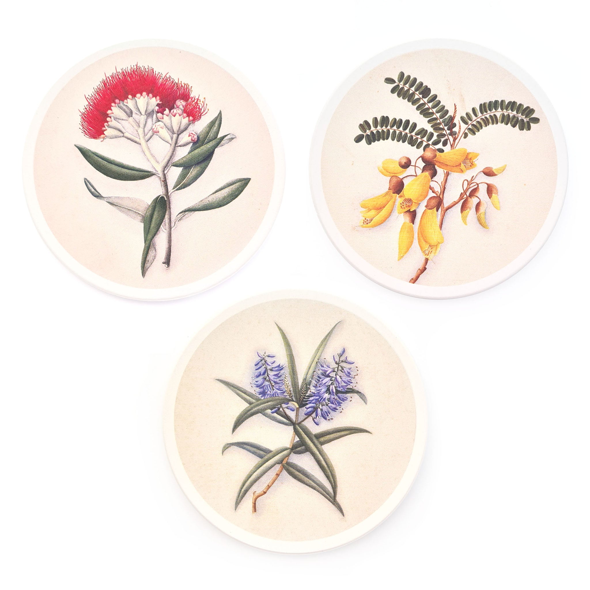 Fanny Osborne Ceramic Coasters – Auckland Art Gallery Shop